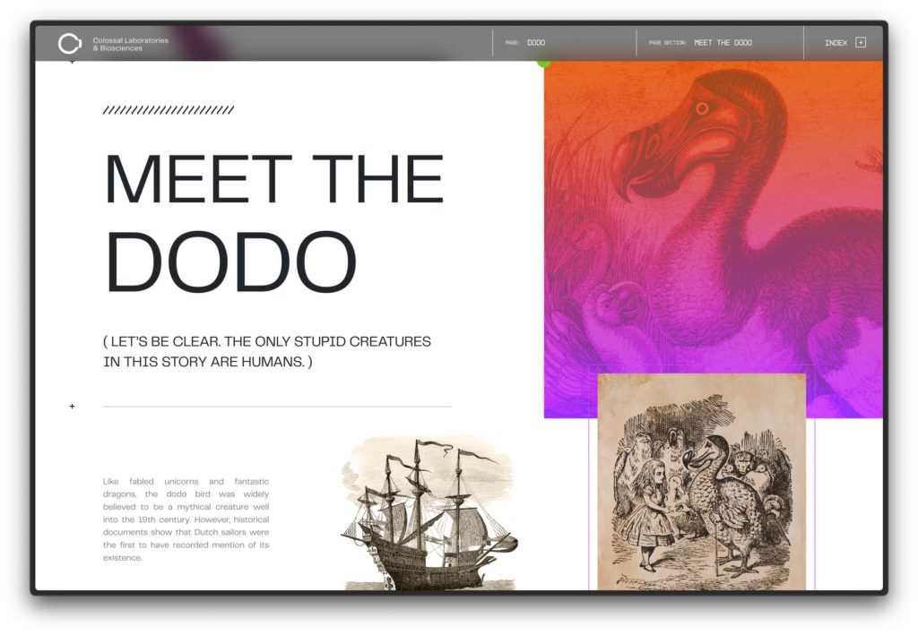 Colossal Dodo Bird | ADDY Winners 2024